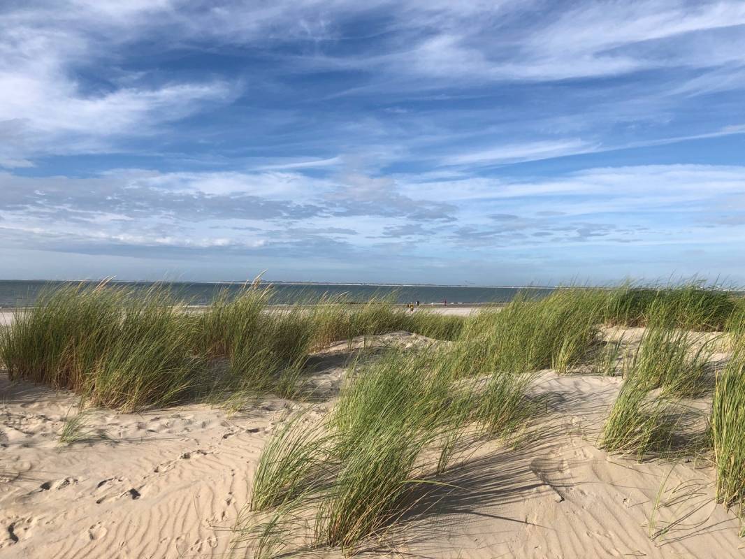 Camping-app.eu: Strandcamping Groede Groede Netherlands