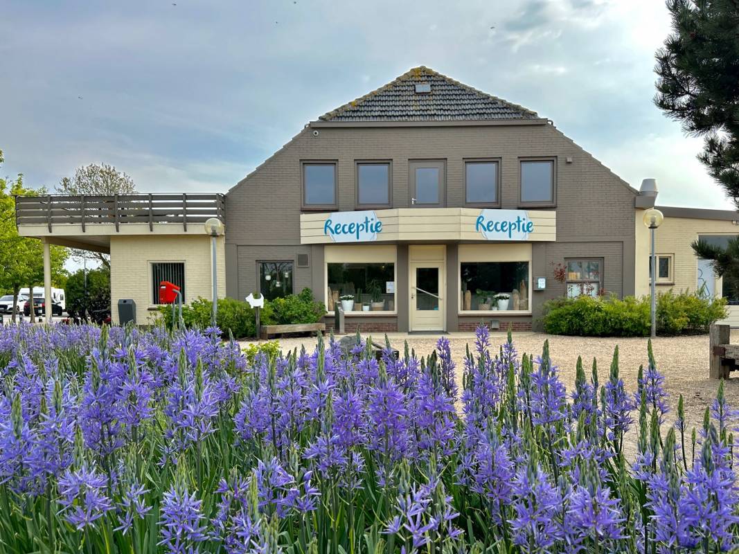 Camping-app.eu: Strandcamping Groede Groede Netherlands