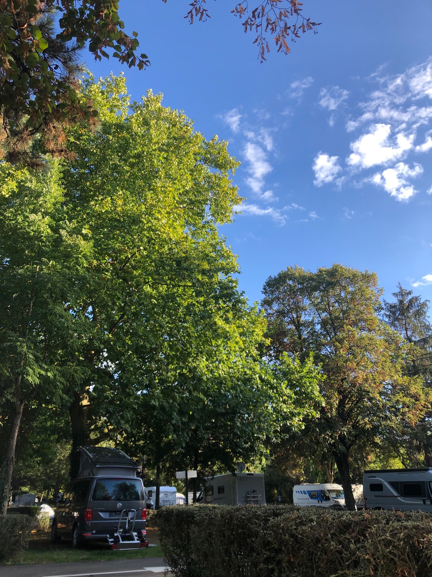 Camping-app.eu: Camping Dijon Lac Kir Dijon France